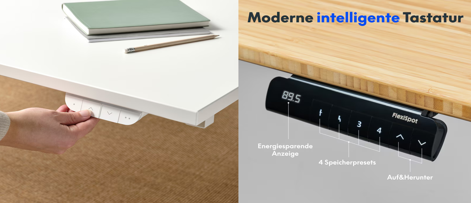 FlexiSpot E5 Lite vs. IKEA MITTZON | FlexiSpot